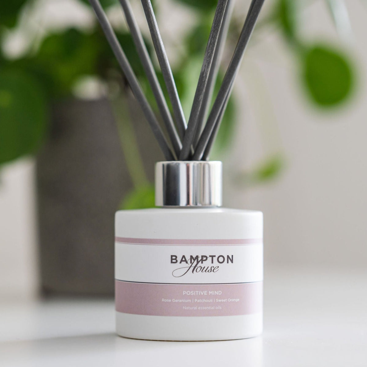 Reed Diffuser - Positive Mind